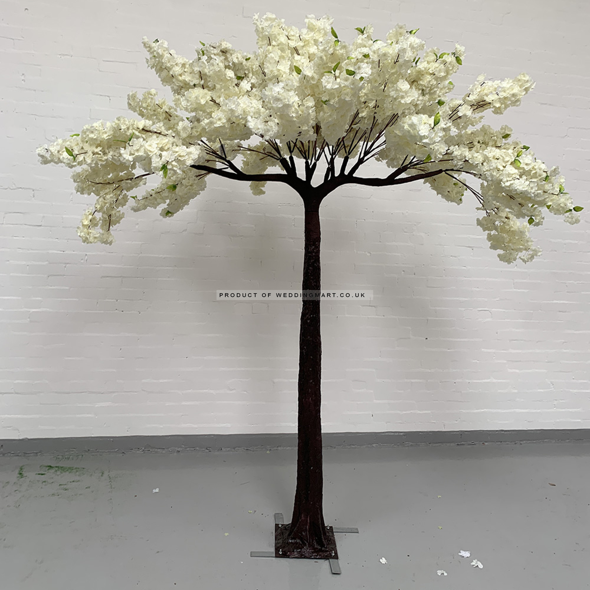 Umbrella Trees