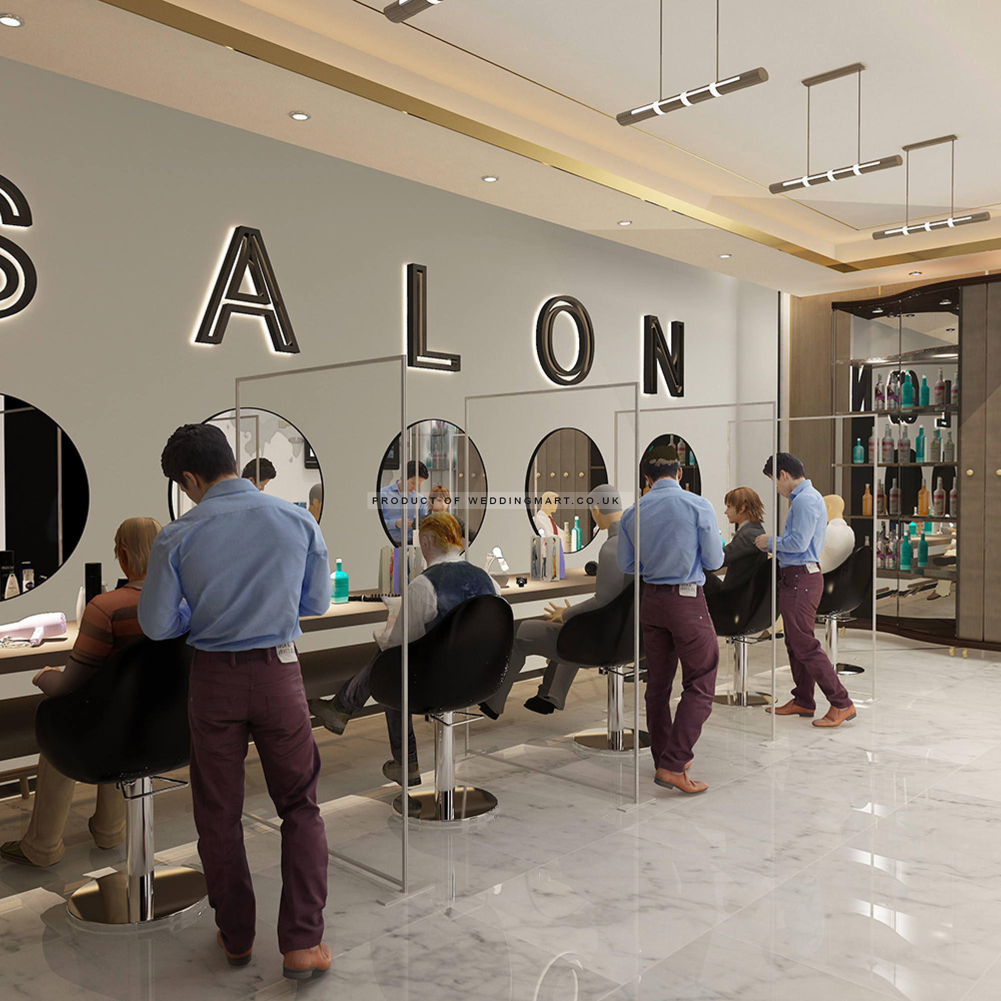 Free Standing Hygienic Screen for Saloon and Hair Dressers